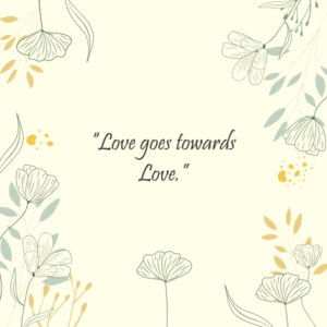 65+ Beautiful Wedding Album Quotes | Happy Wedding App