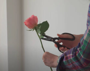 How to Make a DIY Wedding Bouquet: 11 Simple Steps to Create