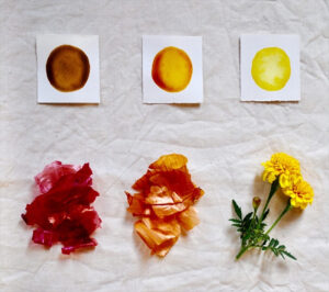 9 Unique Ways to Preserve Your Wedding Flowers and Bouquet - Happy ...